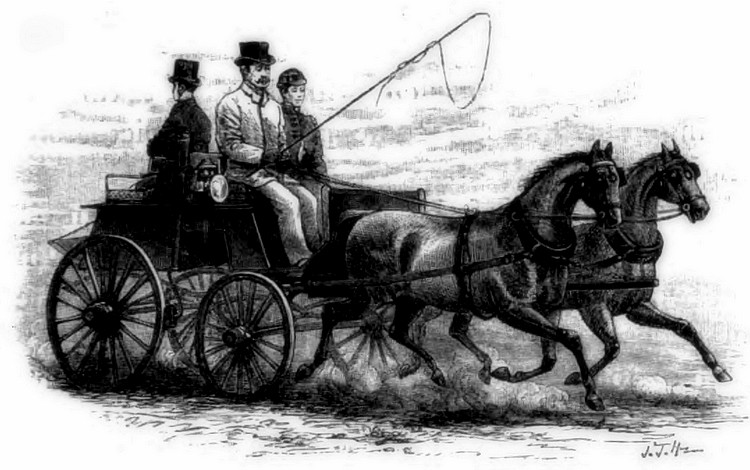 A Novice’s Introduction to Victorian Carriages, Part 1 – BROM BONES BOOKS