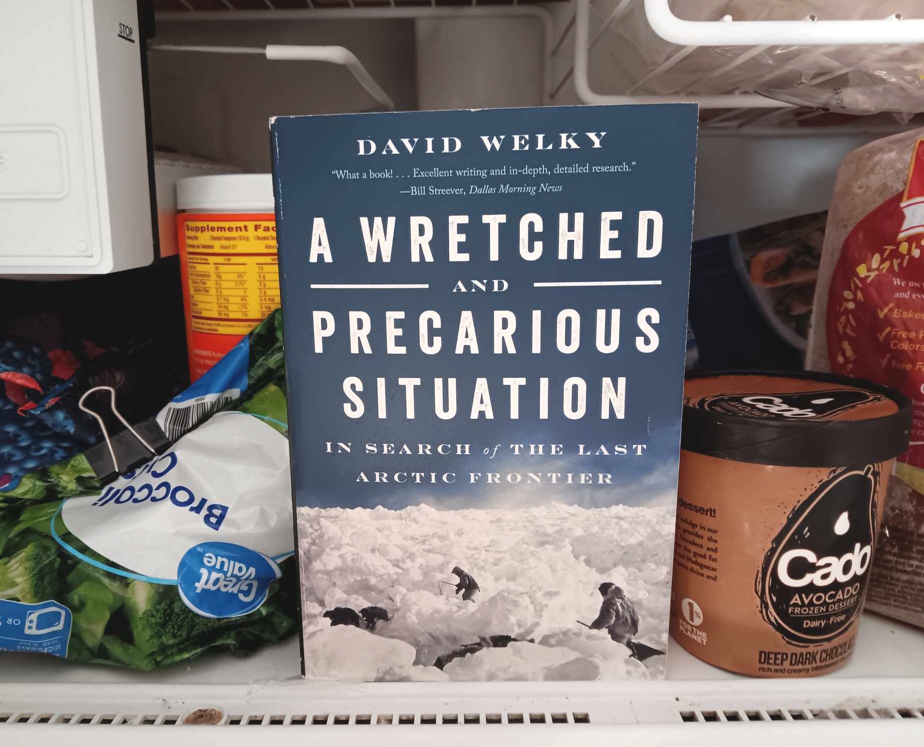 A Book Report on David Welky’s A Wretched and Precarious Situation: In ...