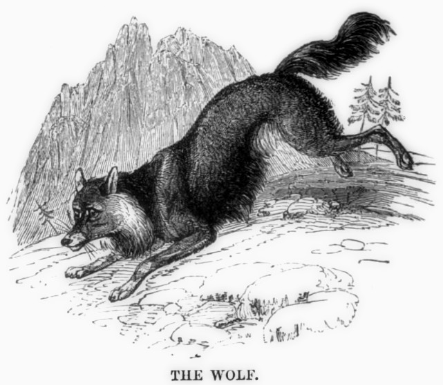 The Short Fiction of Catherine Crowe: “A Story of a Weir-Wolf” – BROM ...