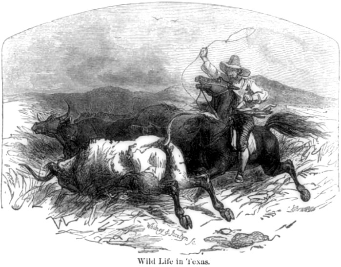 Railroad Hauntings You Can Still Visit: A Stretch of Tracks in Trumbull ...